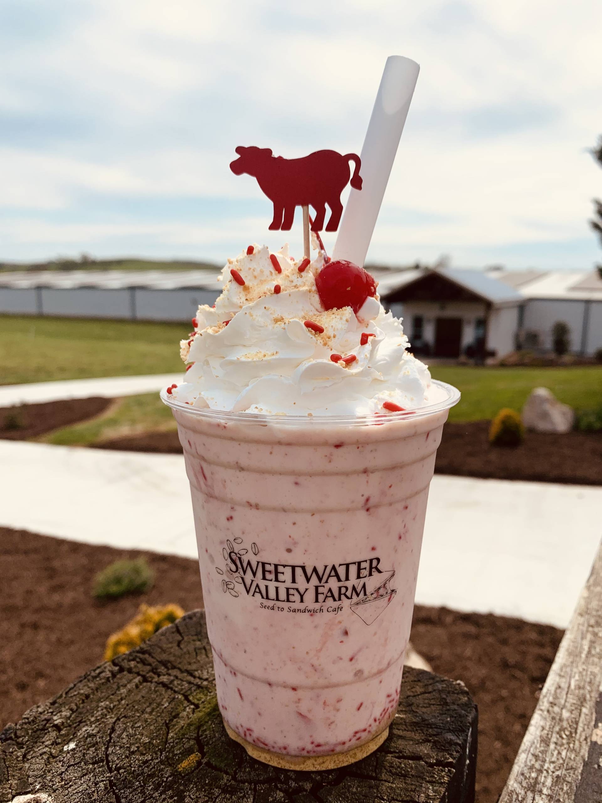Our Cafe – Sweetwater Valley Farm
