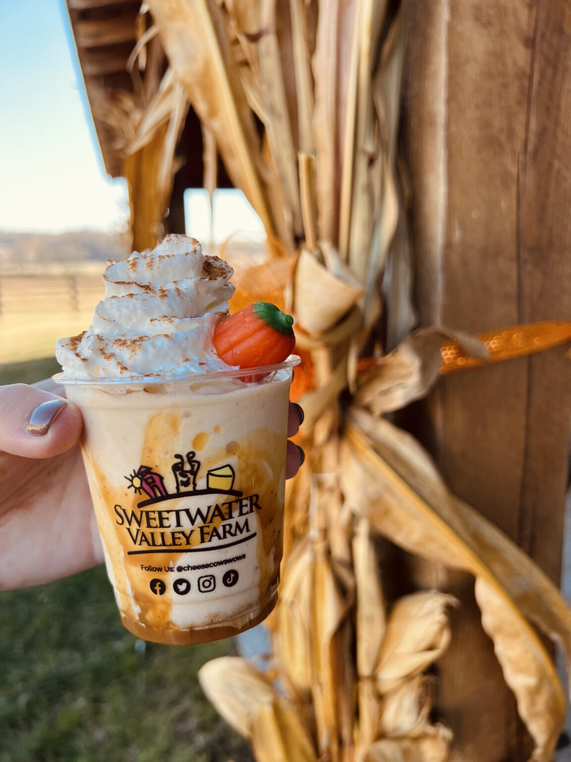 Our Cafe – Sweetwater Valley Farm